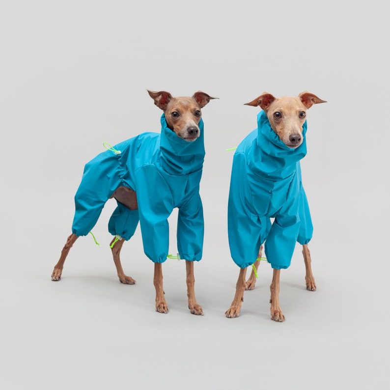 Italian Greyhound Rain Jacket Lightweight Iggy Clothing - Etsy