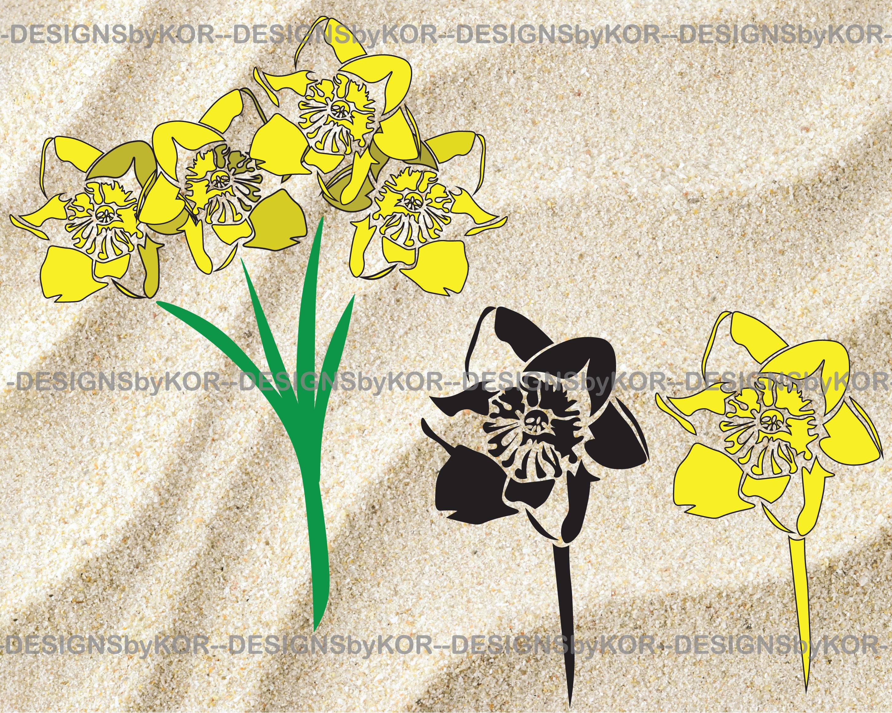 Selection of Daffodil Flower SVG and PNG Files , Black Silhouette ...