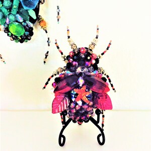 Printable Bug Wall Art - Instant Download Bug Poster - Entomology Print ...