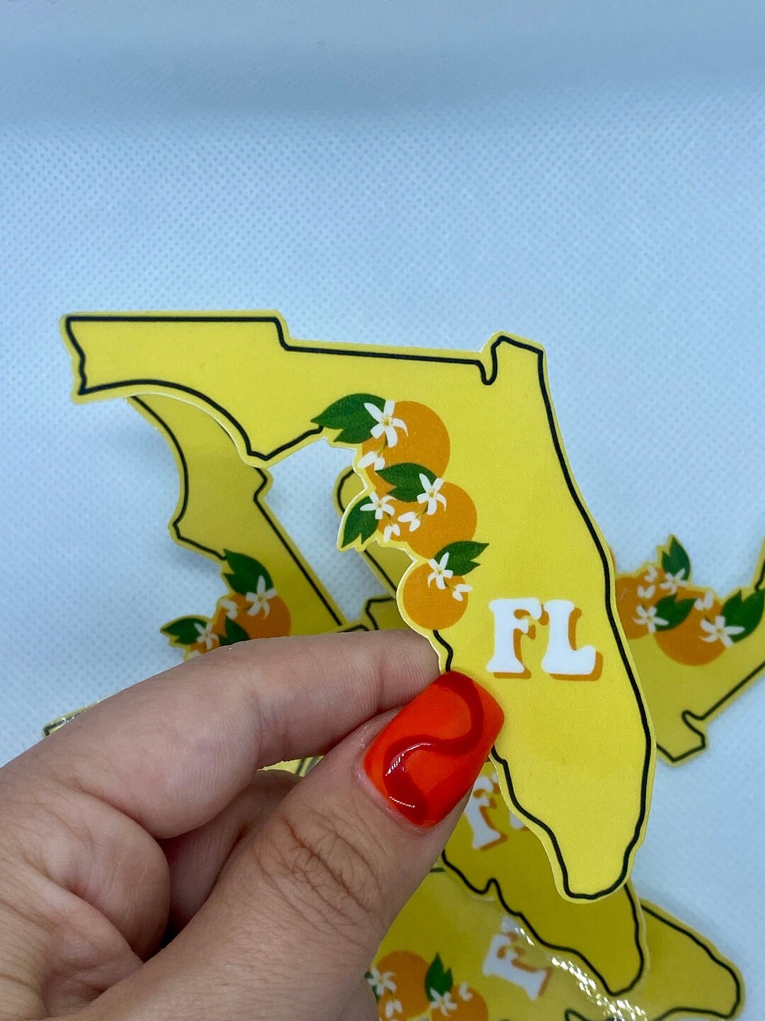 Florida State Outline Decal Sticker, FSU, Disney, Orange Blossom ...