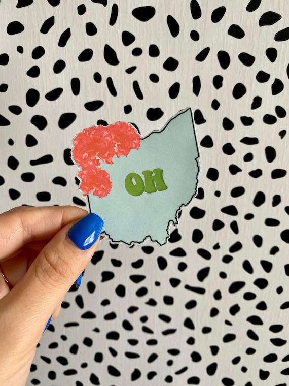 Ohio State Outline Decal Sticker Columbus Cleveland | Etsy