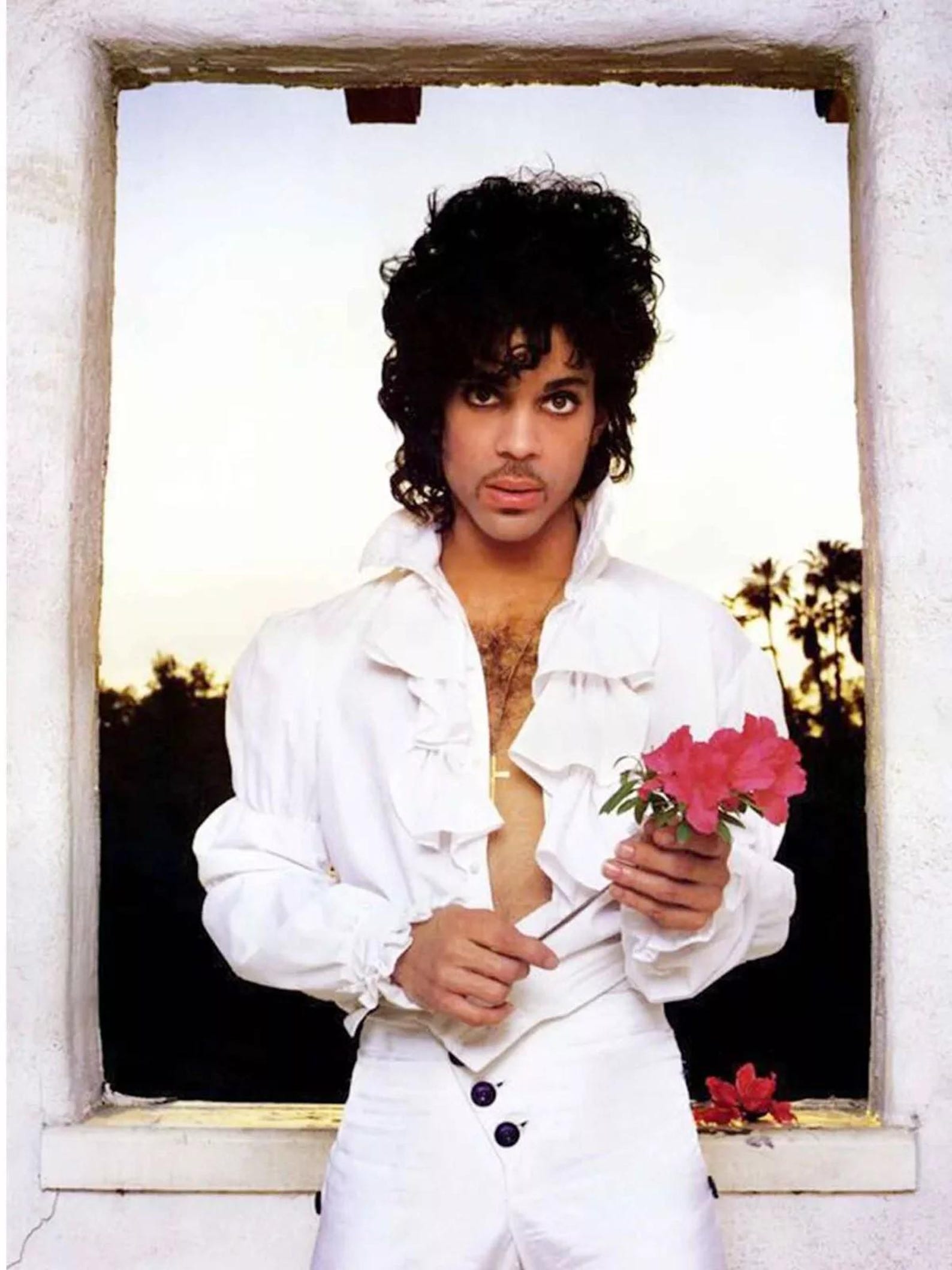 Prince Vintage Photo Music Poster Size 18" X 24" Wall Decor Print Home ...
