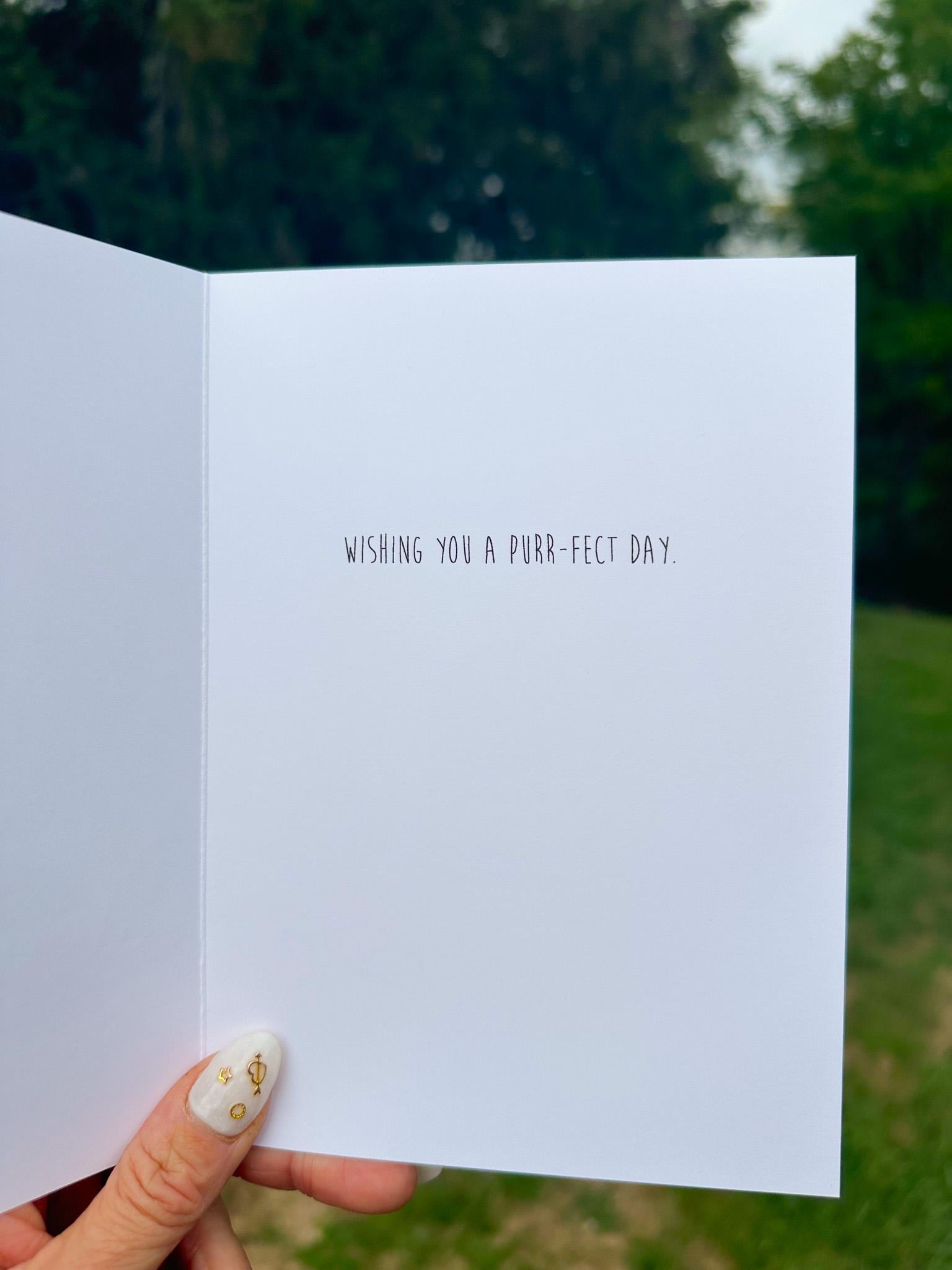 Cat Happy Birthday Card, Hand Drawn Birthday Card, Cute Kitten Birthday ...