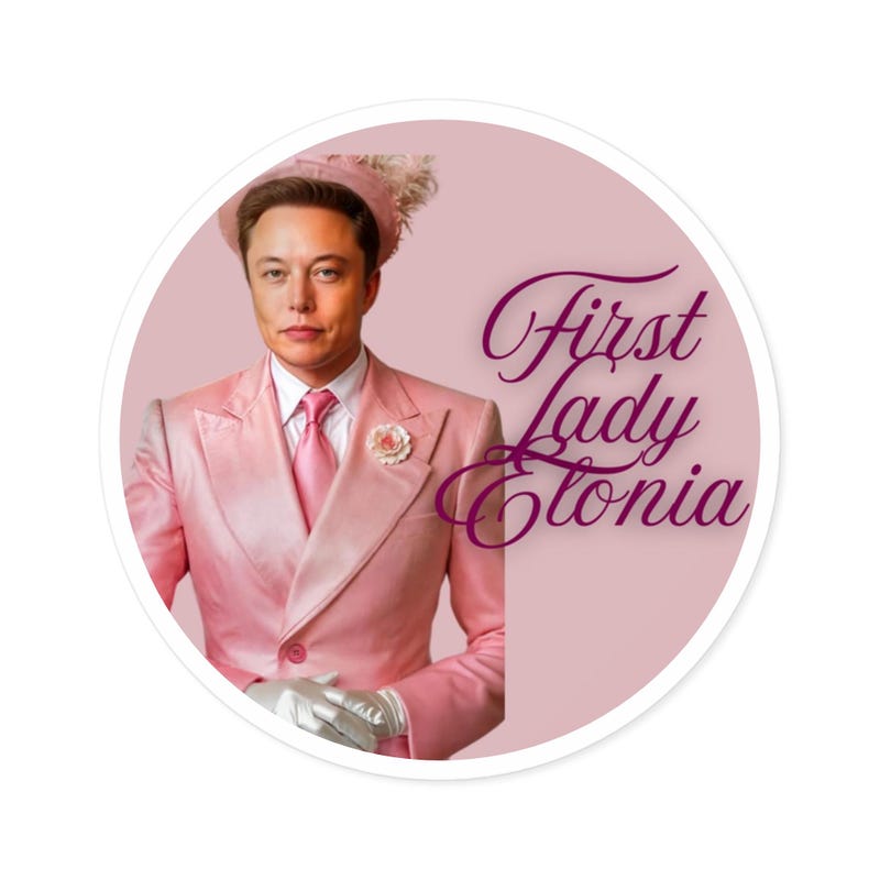 Elon Musk Bumper Stickers - Etsy