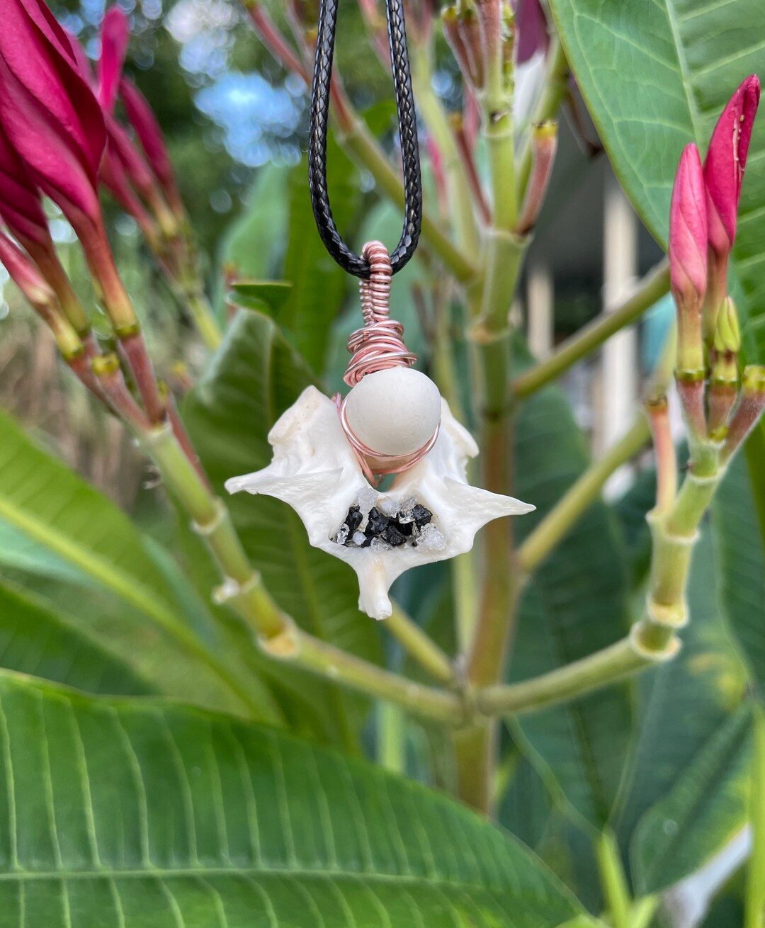 Python Vertebrae Pendant - Etsy