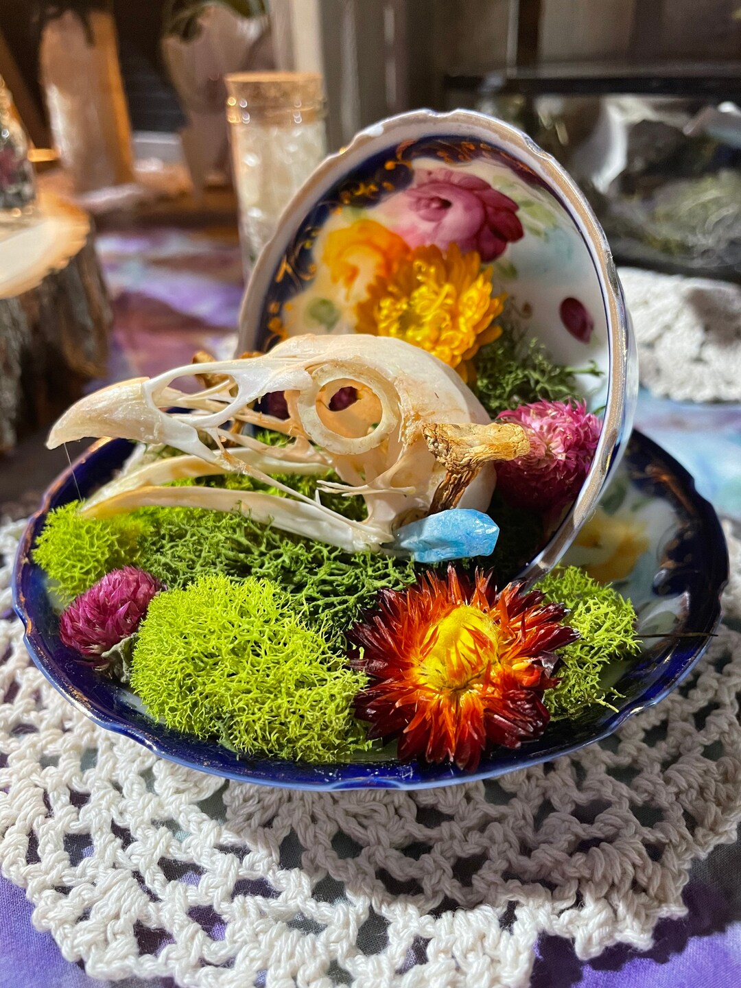 Pheasant Skull Teacup - Etsy