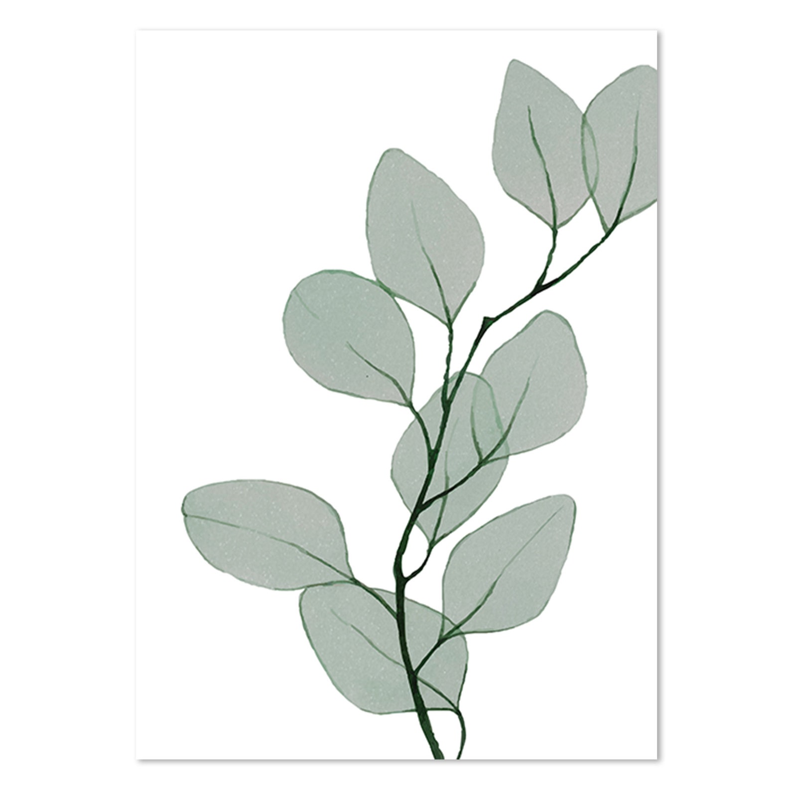 Set of 7 Printables Sage Green Botanical Line Art Bohemian - Etsy