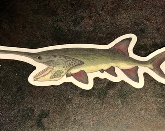 Paddlefish Sticker - Etsy