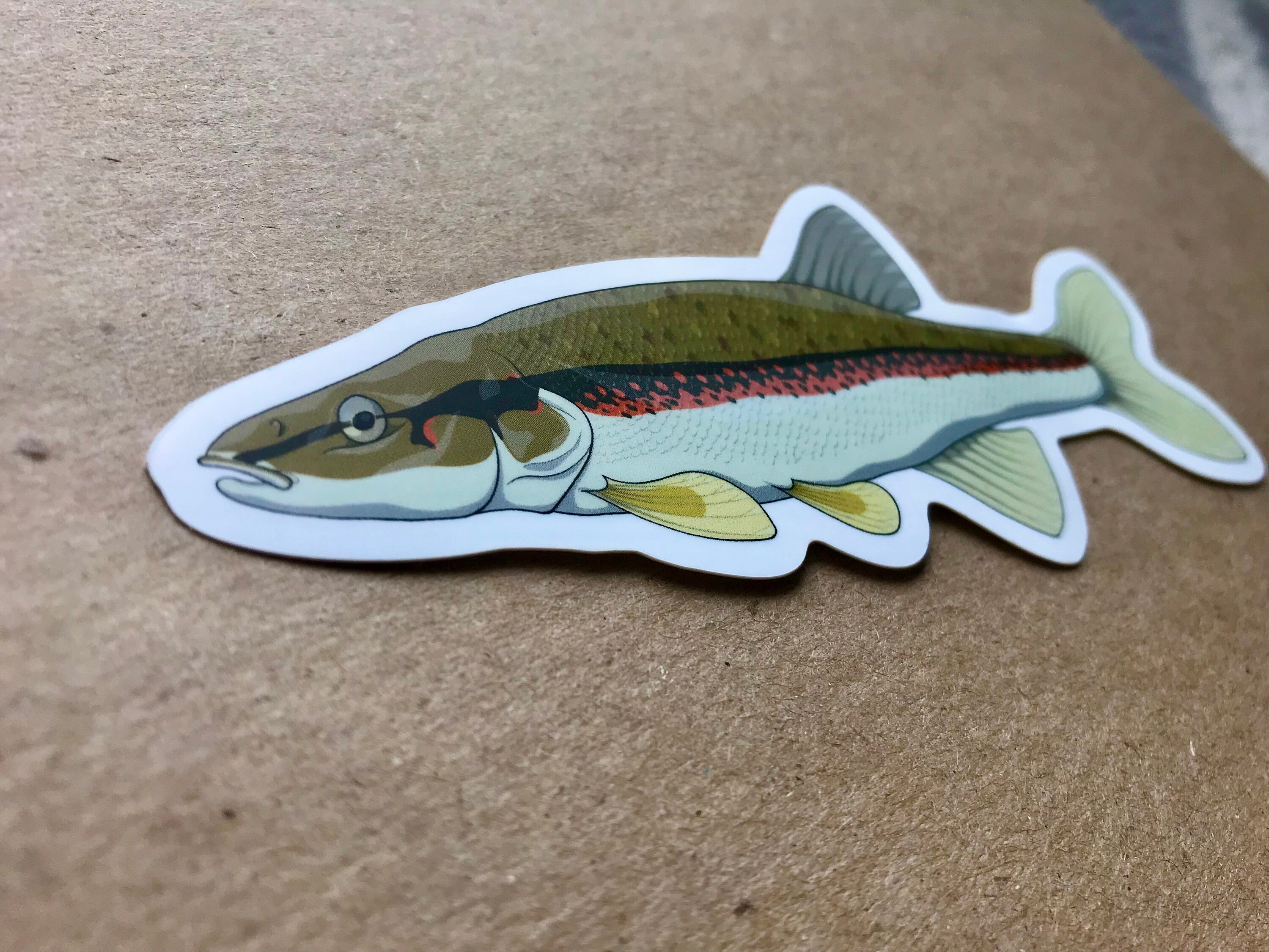 Store 1 — Justin Waraniak