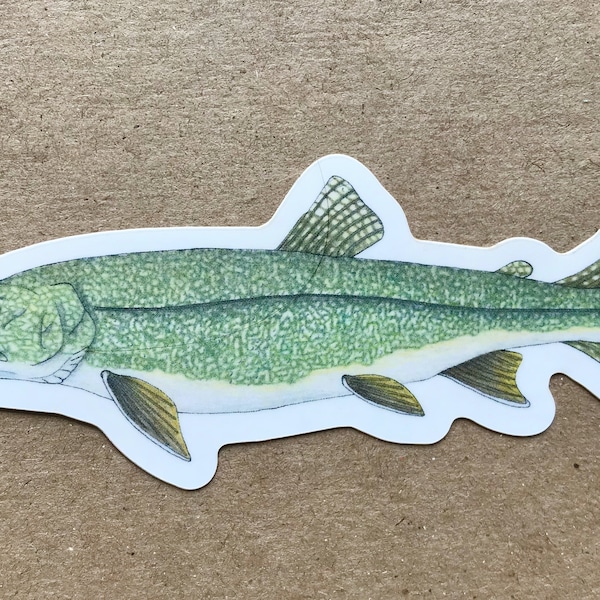 Trout Stickers - Etsy