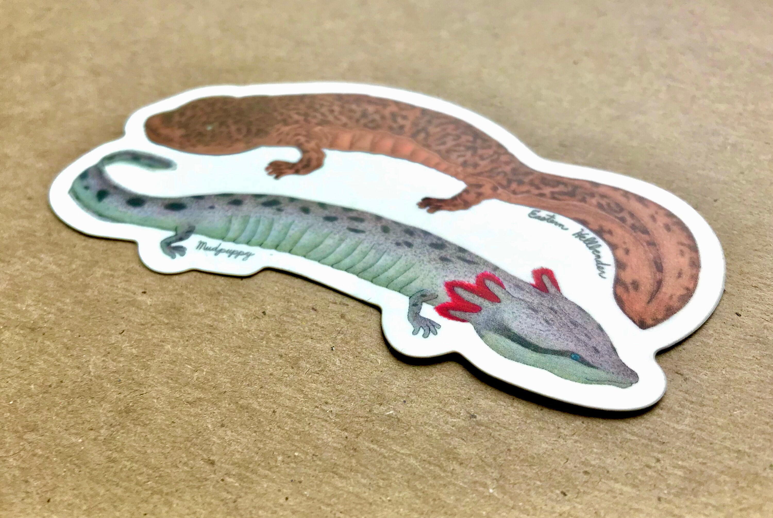 Aquatic Salamanders Sticker - Etsy