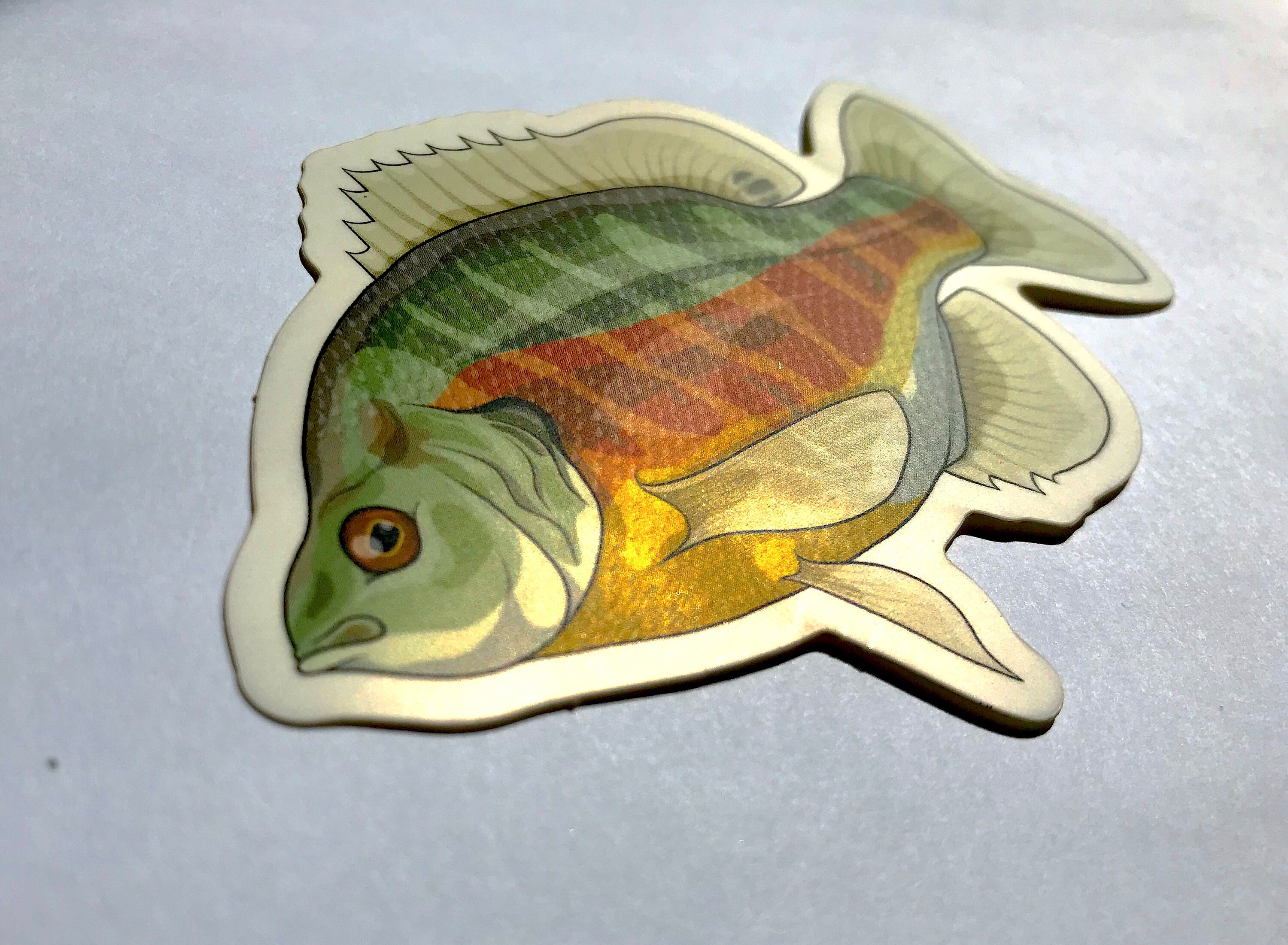 Bluegill Sticker - Etsy