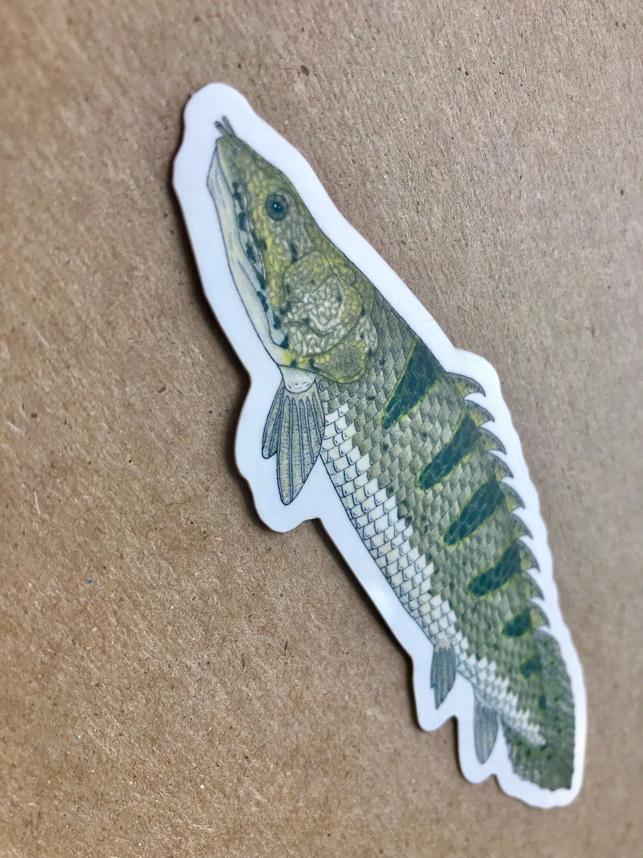 Store 1 — Justin Waraniak