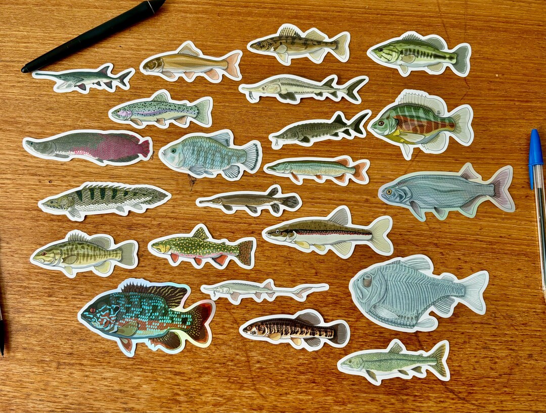 Choose Your Own: Fishy 3-pack Stickers - Etsy