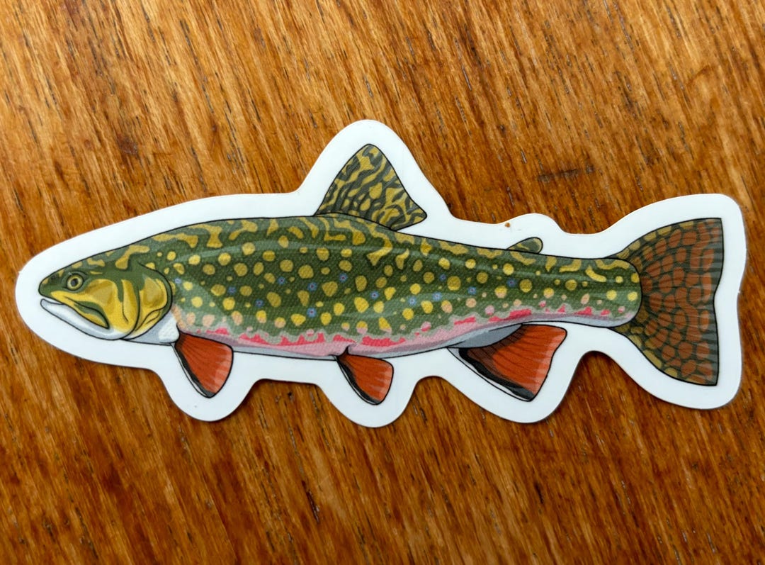 Brook Trout Sticker - Etsy