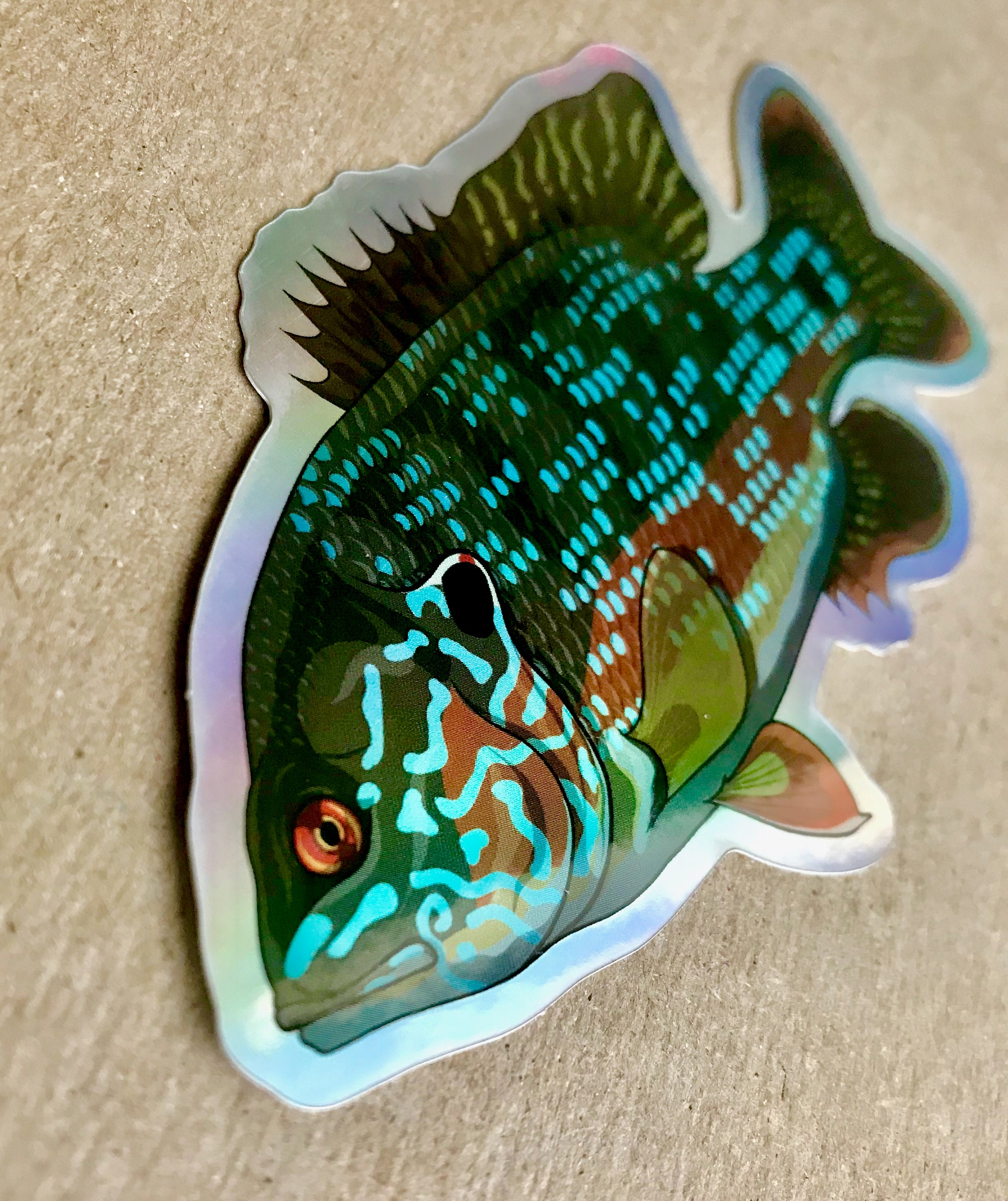 Store 1 — Justin Waraniak