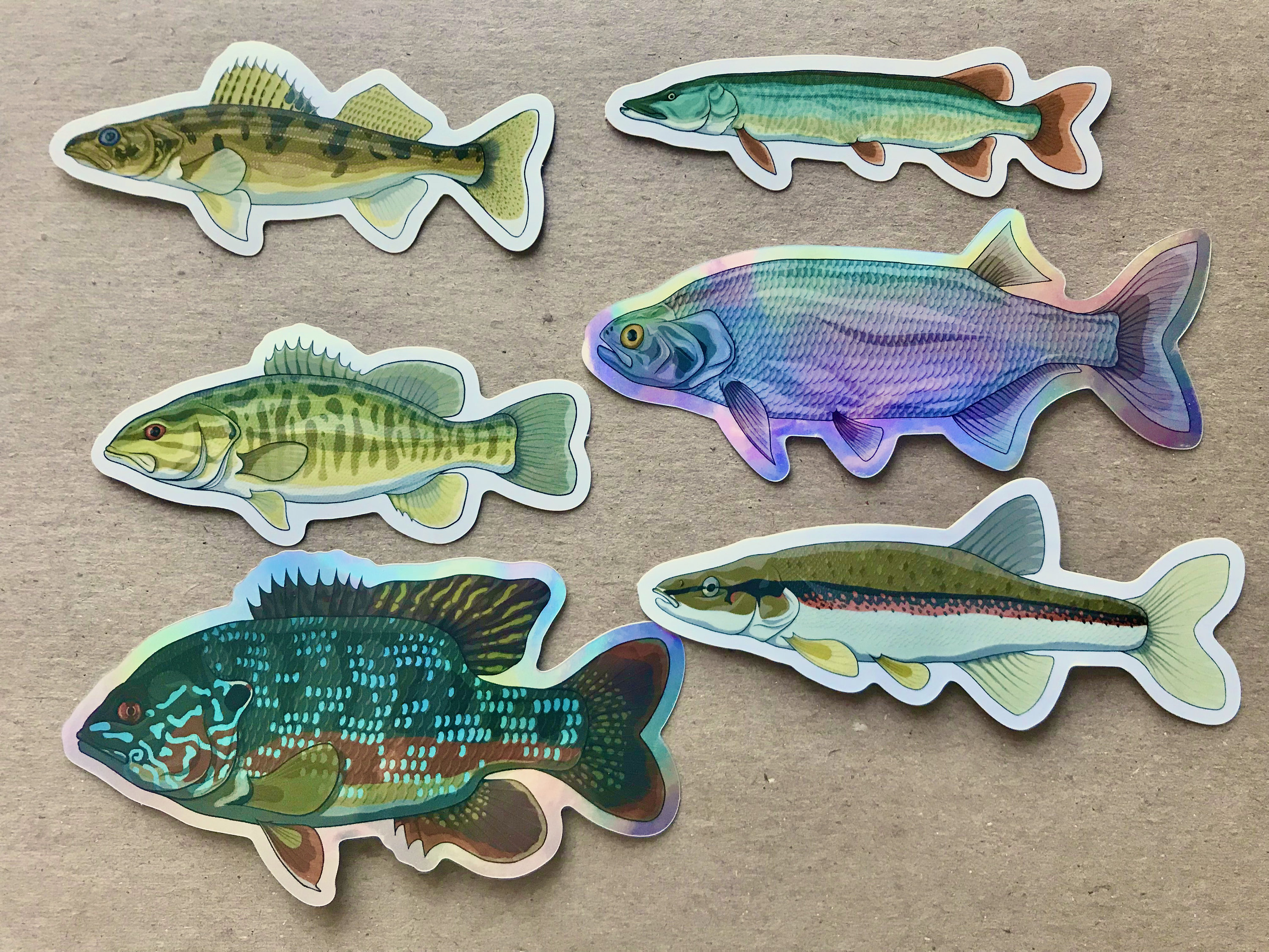 Choose Your Own: Fishy 3-pack Stickers - Etsy