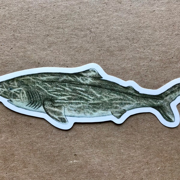 Shark Stickers - Etsy