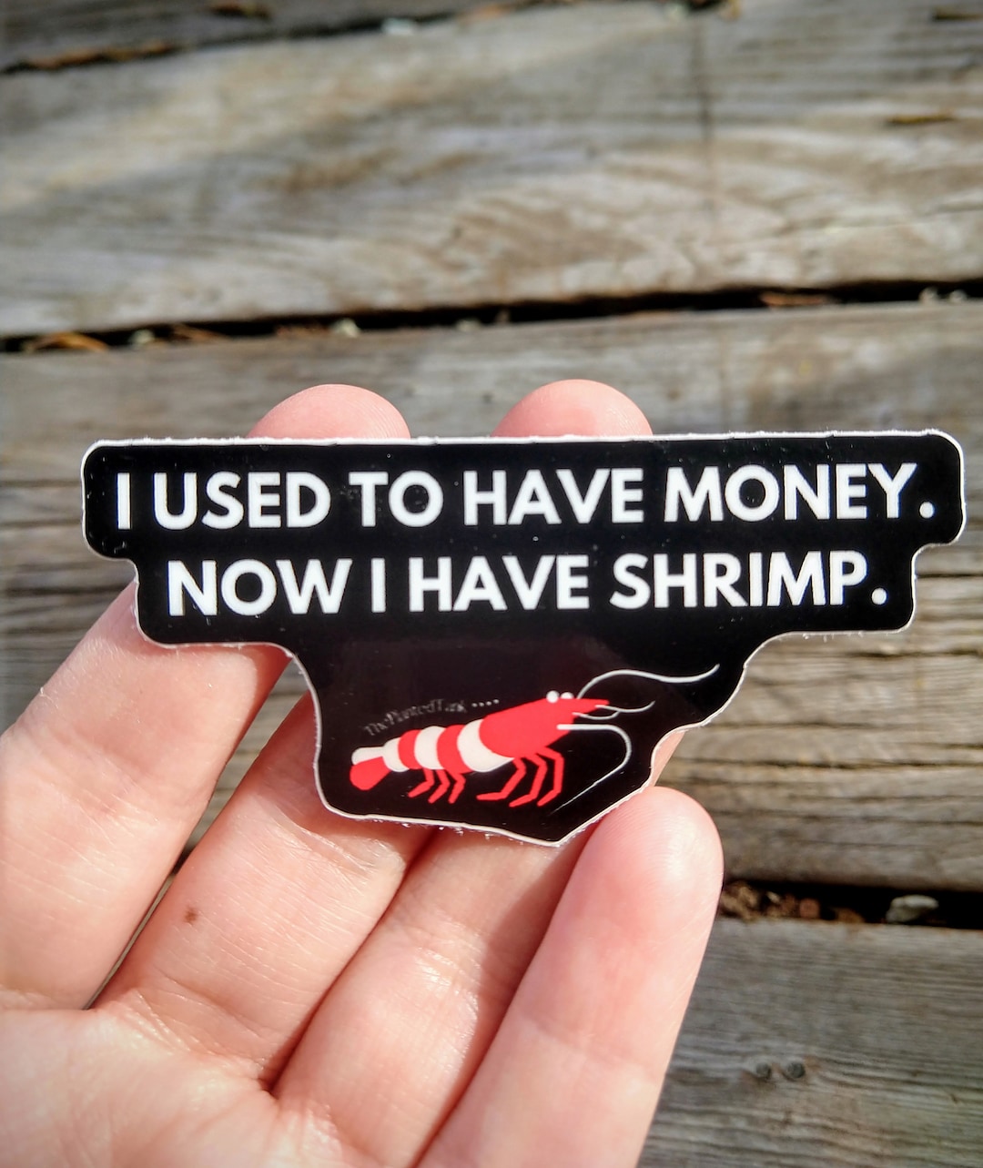 RCS Dwarf Shrimp Decal Stickers, Aquarium Gifts, Laptop Hobby Vinyl ...