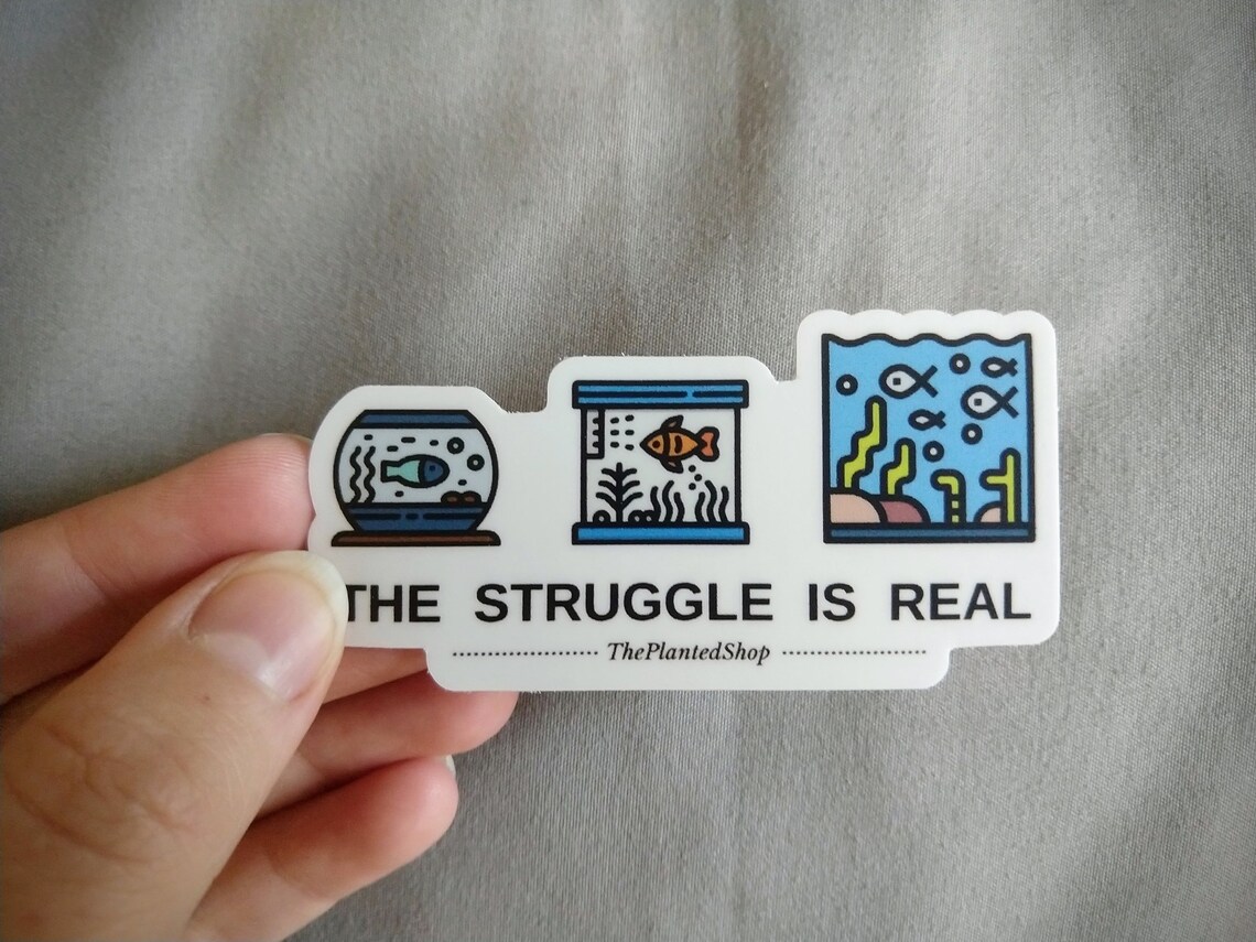 4 Fish Tank Decal Stickers Aquarium gifts Laptop Hobby Vinyl | Etsy