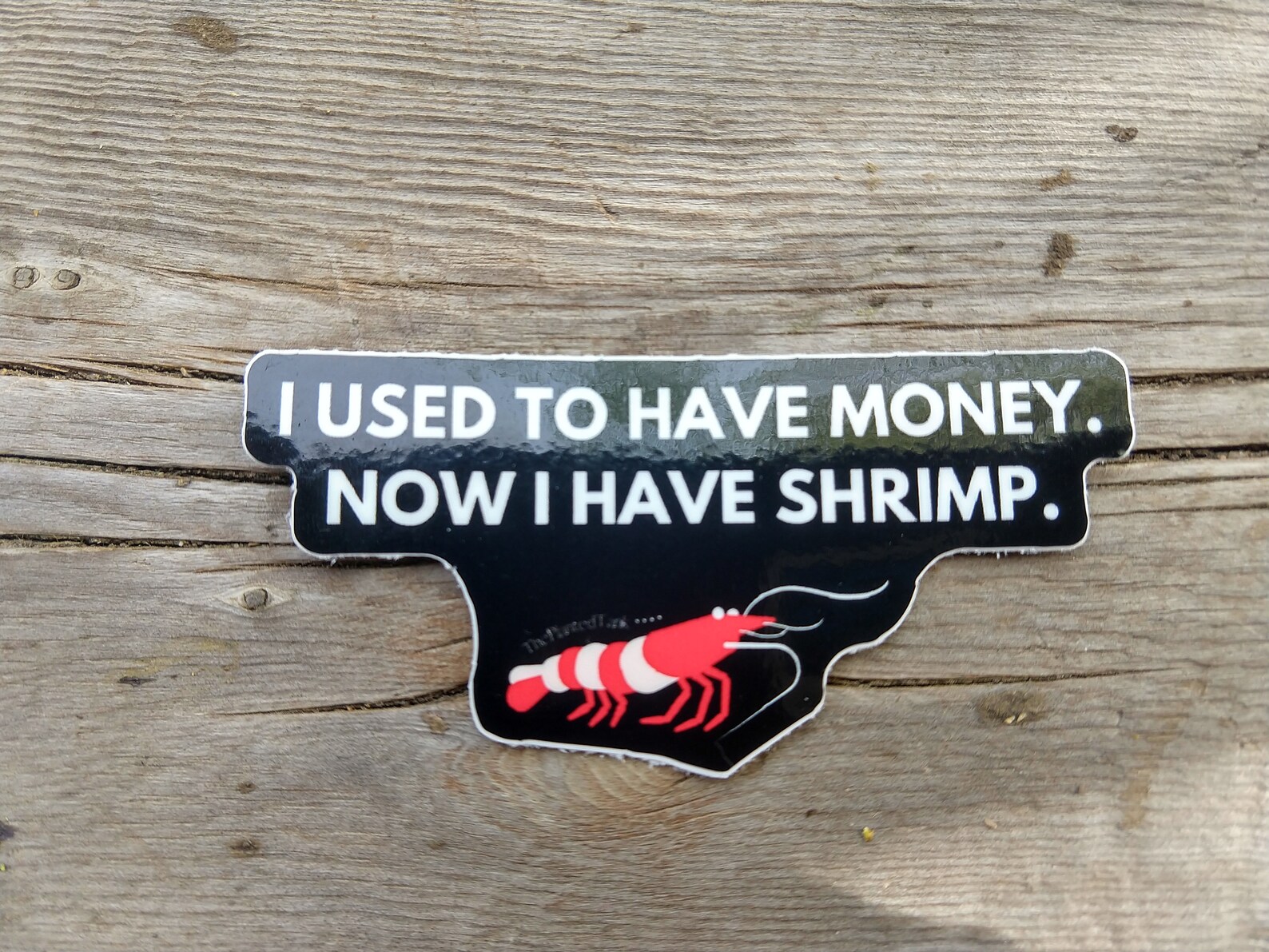 4 Fish Tank Decal Stickers Aquarium Gifts Laptop Hobby Vinyl - Etsy