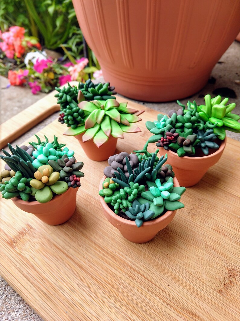 Tiny Succulent POT Decor for Fun Aquarium Fish Tanks Caves - Etsy