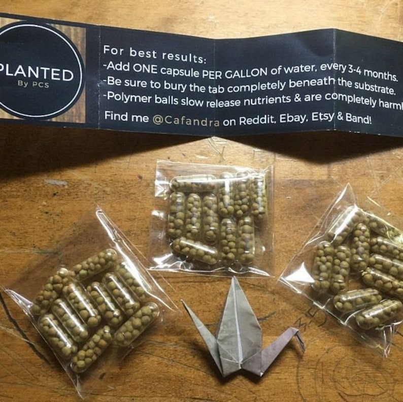 NO FLOATERS Beginner Pack 10 Tiny Random PLANT Species Low - Etsy