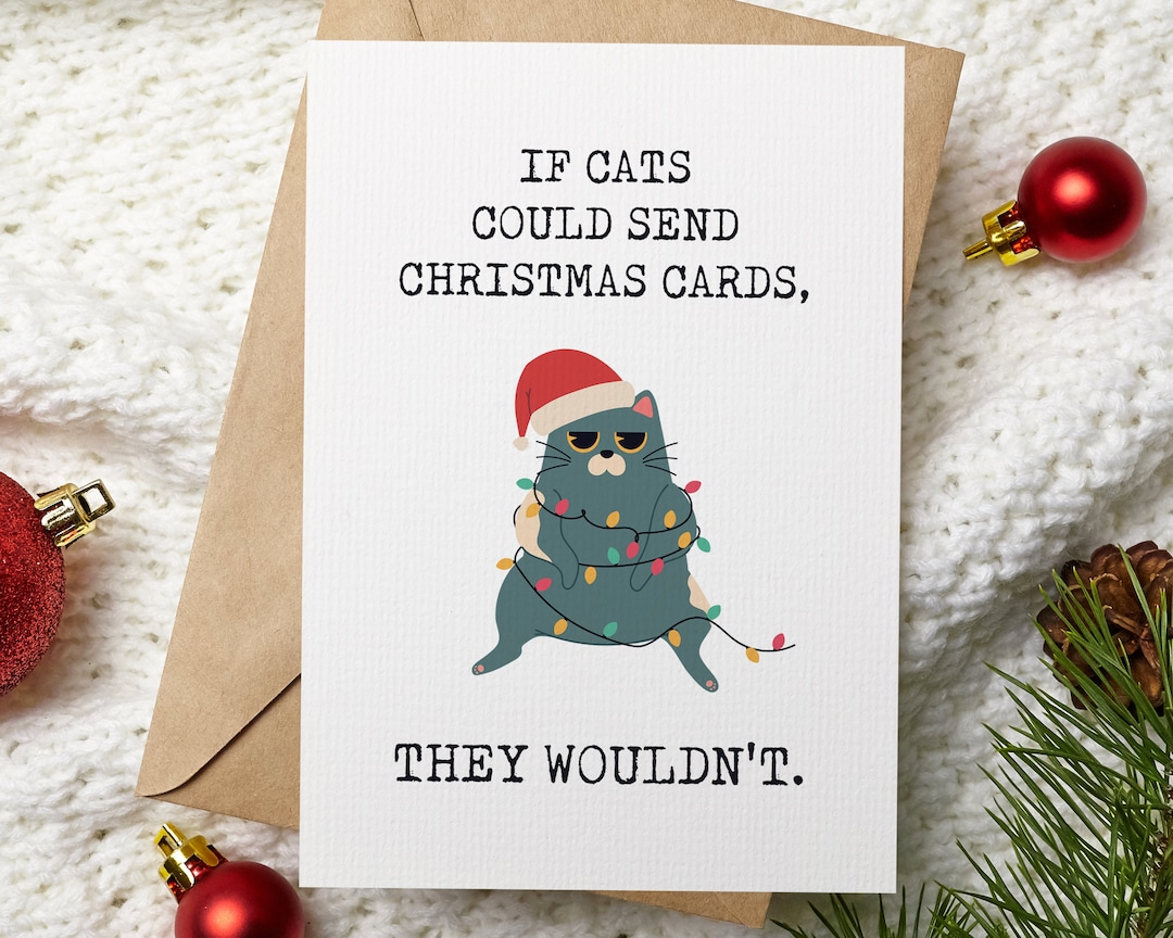 Funny Cat Christmas Card Pack, Sarcastic Christmas Cards, Winter ...