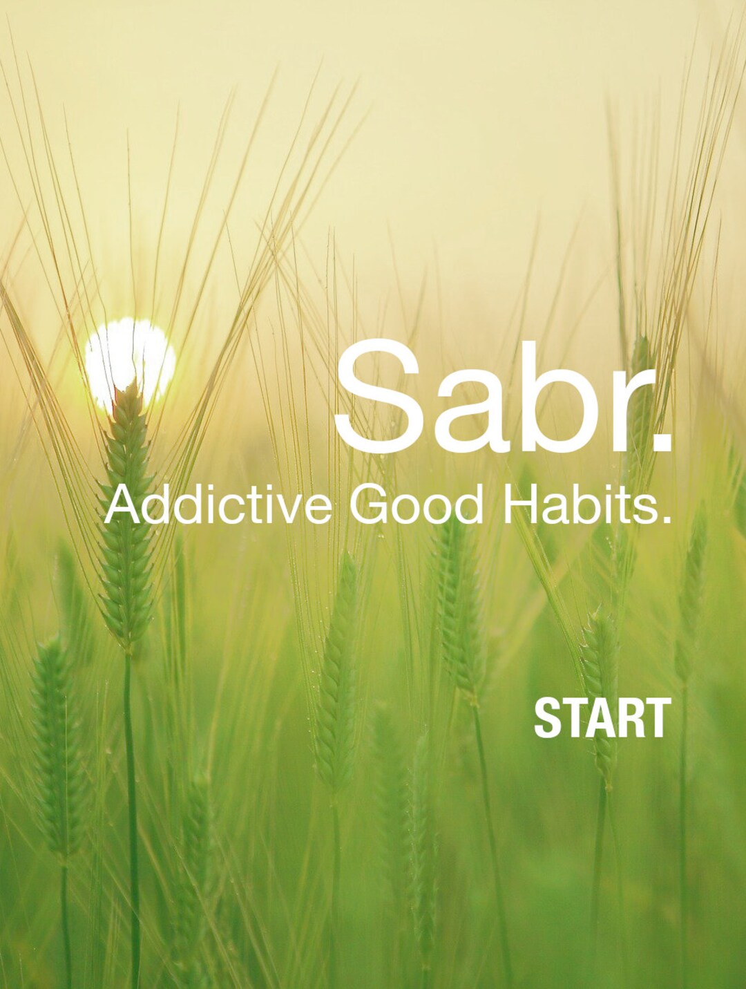 SABR Fully Supported Home Recovery Program Materials Fraction of the ...