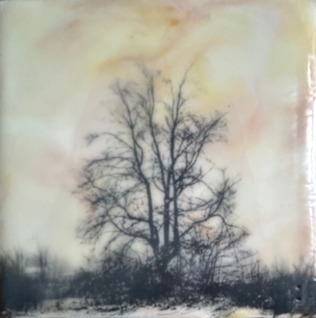 Steadfast Warm Small Tree Encaustic Painting Original Handmade Art ...