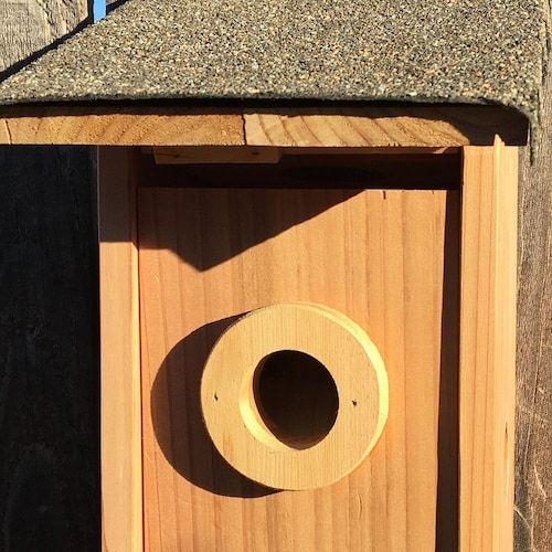 Camera Birdhouse Bird Nesting Box Camera Wireless Wifi USB - Etsy