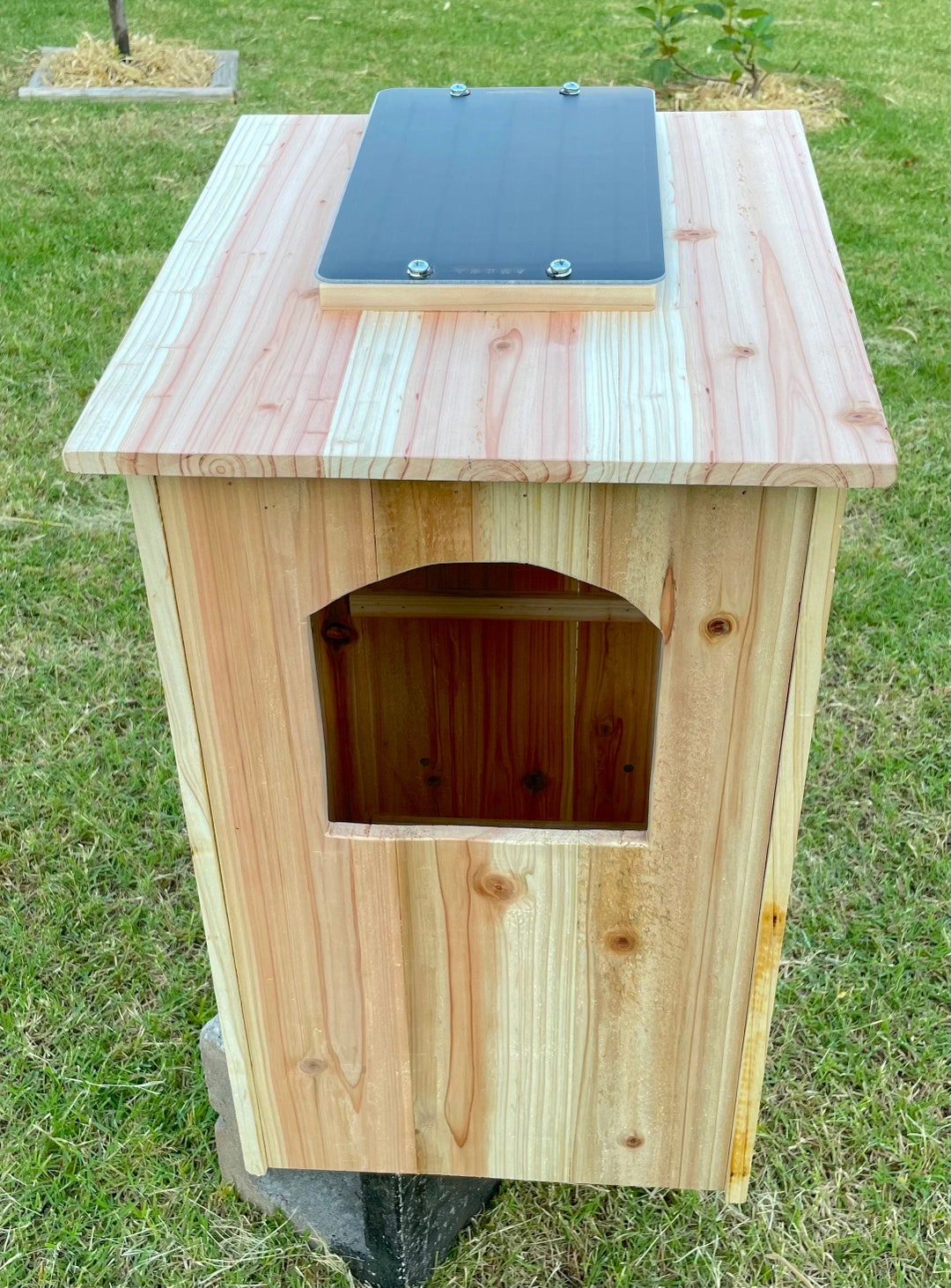 Barred Owl Nesting Box With Solar Powered PIR Wifi Camera; Opossum ...