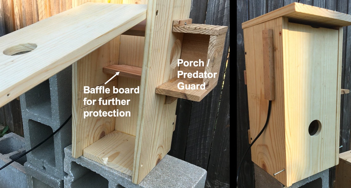 Squirrel Nesting Box With Camera Squirrel Nesting House With - Etsy