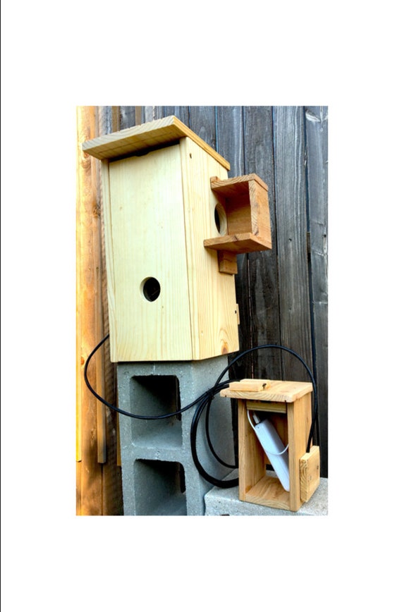 Squirrel Nesting Box With Camera Squirrel Nesting House With - Etsy