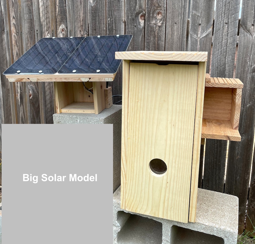 Squirrel Nesting Box With Camera Squirrel Nesting House With Camera