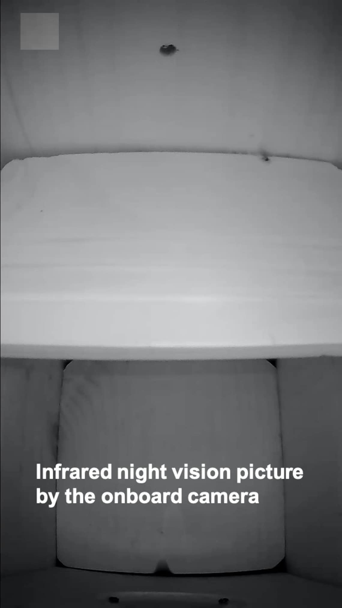 Squirrel Nesting Box With Camera Squirrel Nesting House With - Etsy