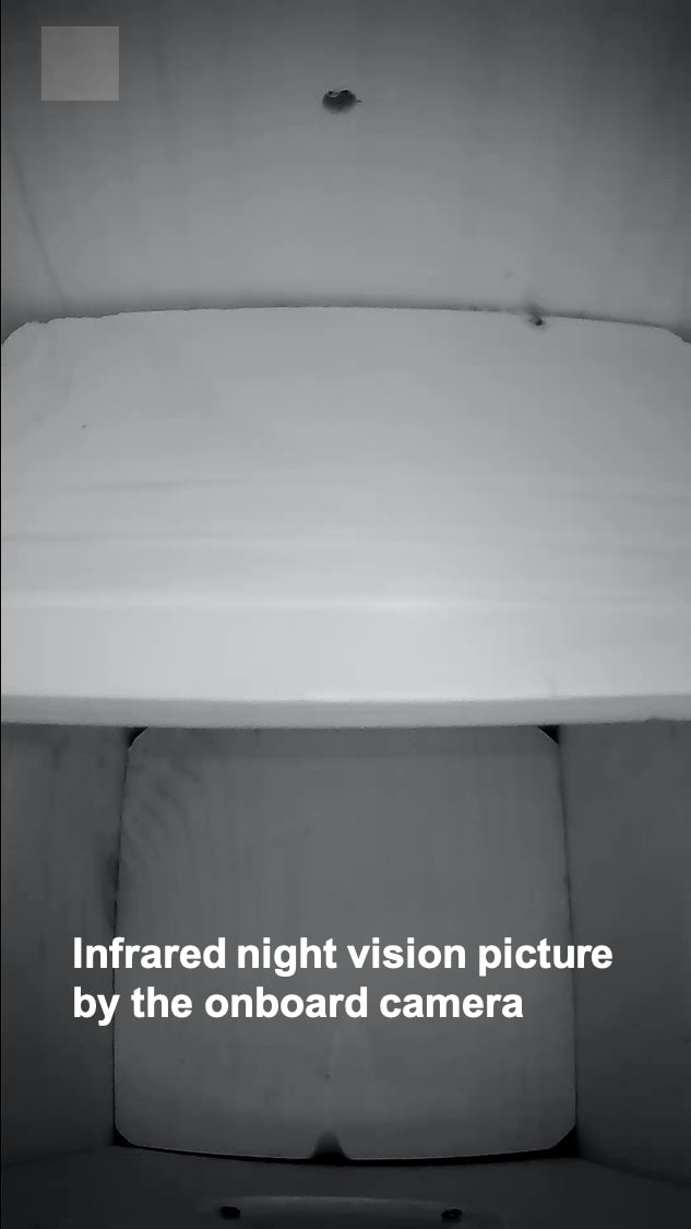 Squirrel Nesting Box With Camera; Squirrel Nesting House With Camera ...