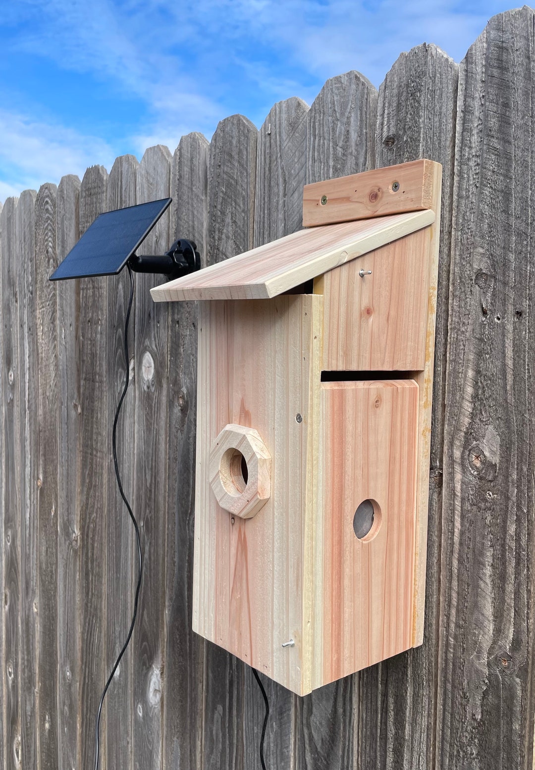 Nesting Box With PIR Camera for Western Bluebirds and Mountain ...