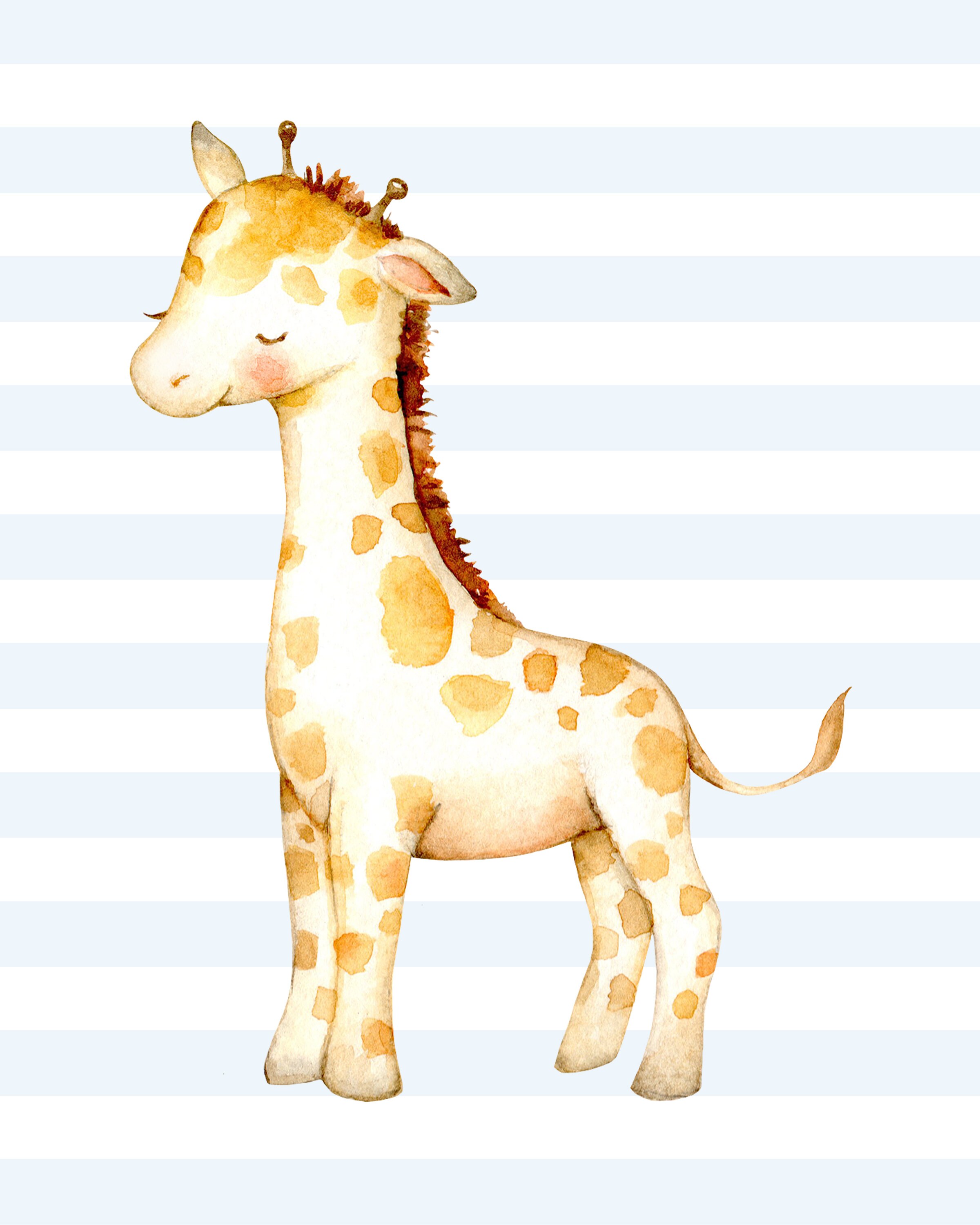 DIGITAL Download/baby Boy Jungle Animals With Light Blue - Etsy