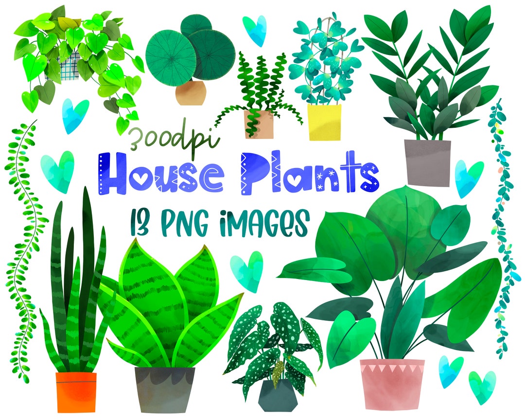 House Plants PNG Clipart/digital Download/green - Etsy