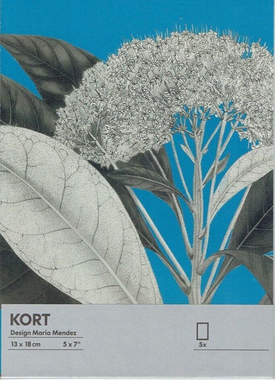 Vintage IKEA KORT Maria Mendez Prints, Old Floral Wall Art, Botanical ...