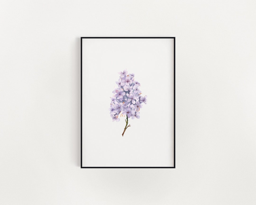 Lilac Print | Lilac Illustration | Lilac Painting | Floral Watercolor ...