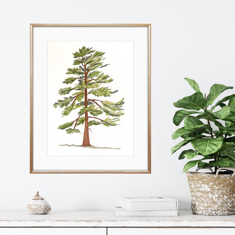 Ponderosa Pine Print Botanical Print Pine Tree Art Print Watercolor ...