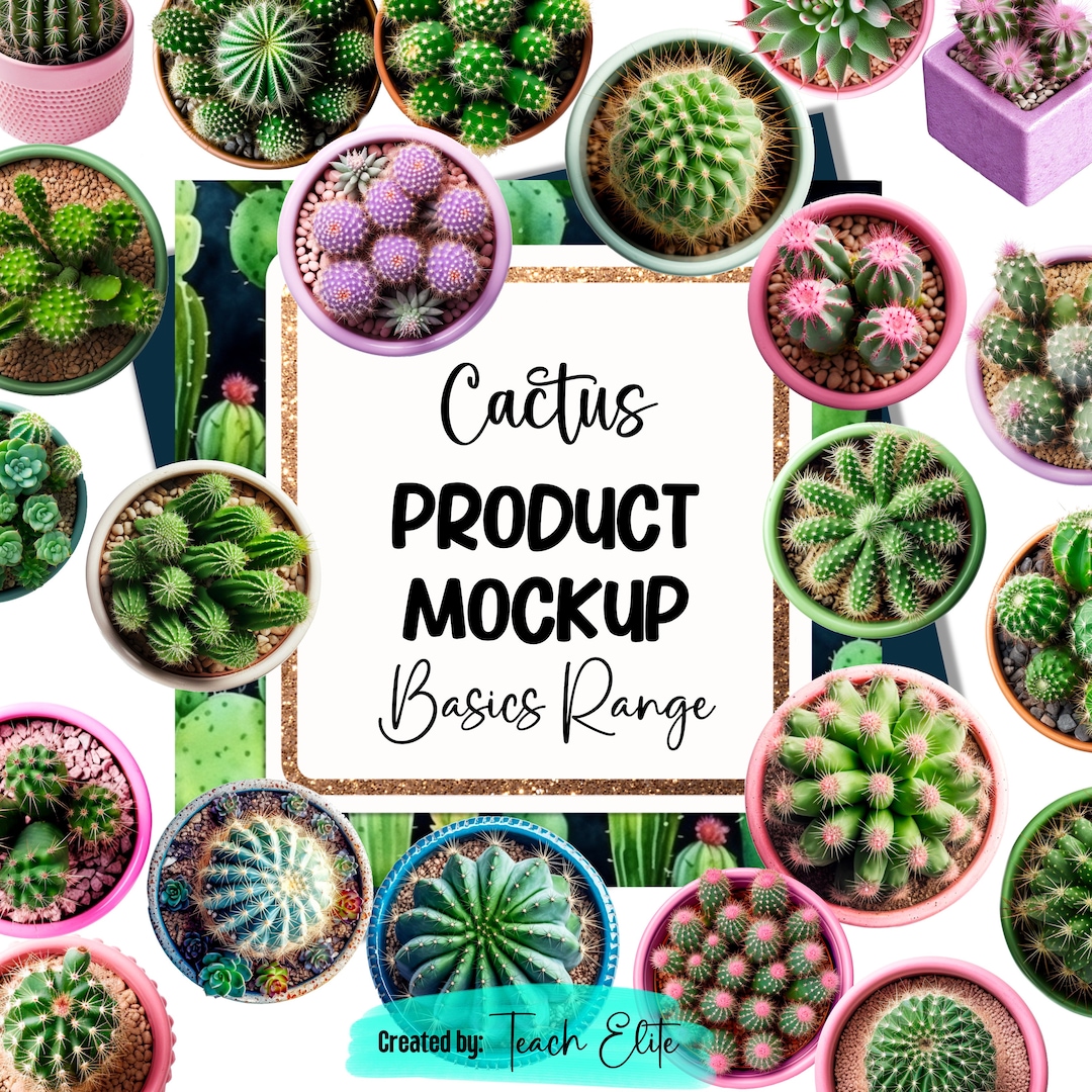 Cactus MOVEABLE Mock-up Png Images, Scene Creator, for Canva, Photoshop ...
