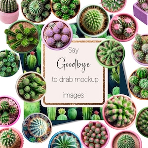 Cactus MOVEABLE Mock-up Png Images, Scene Creator, for Canva, Photoshop ...