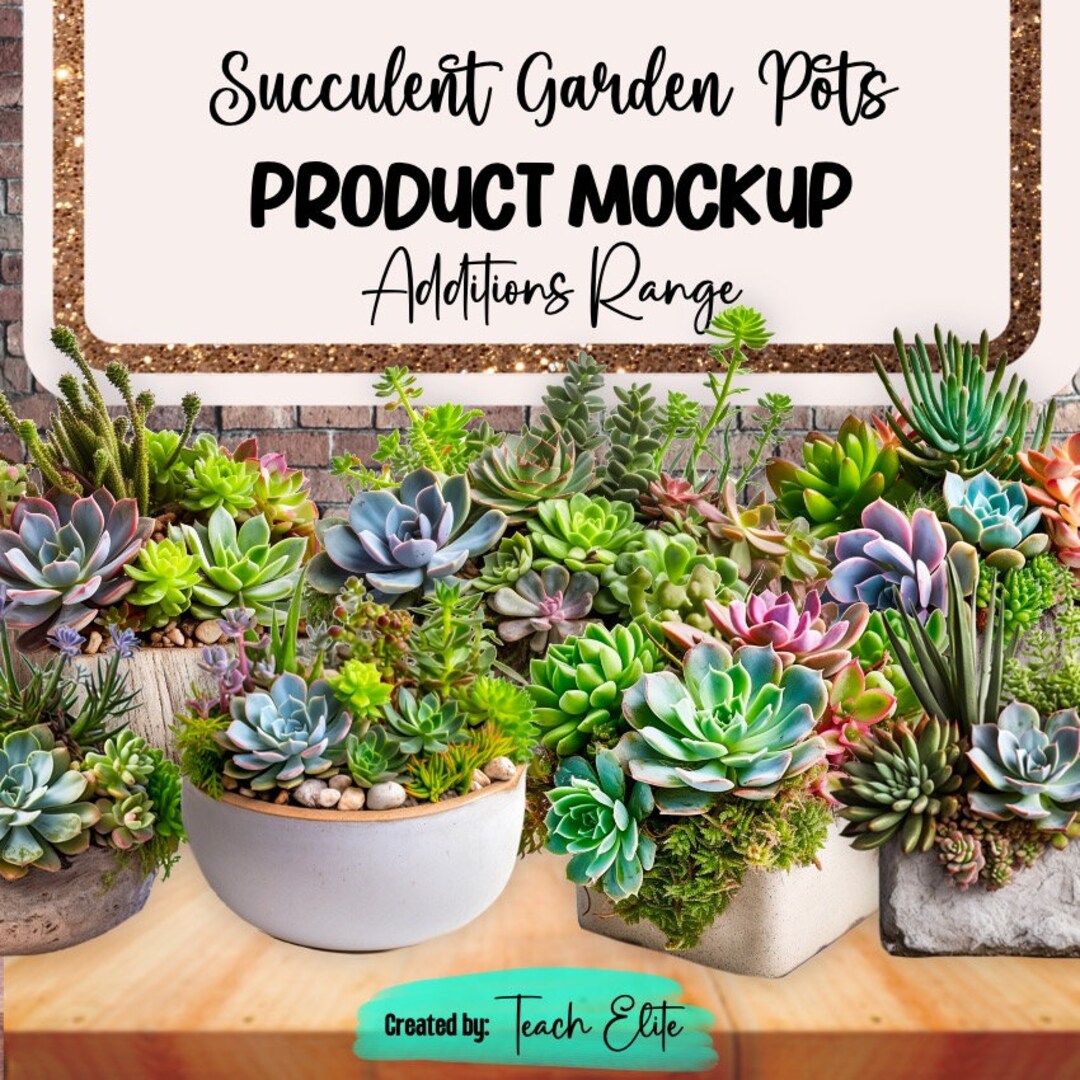 Succulent Garden MOVEABLE Mock-up Png Images, Scene Creator, for Canva ...