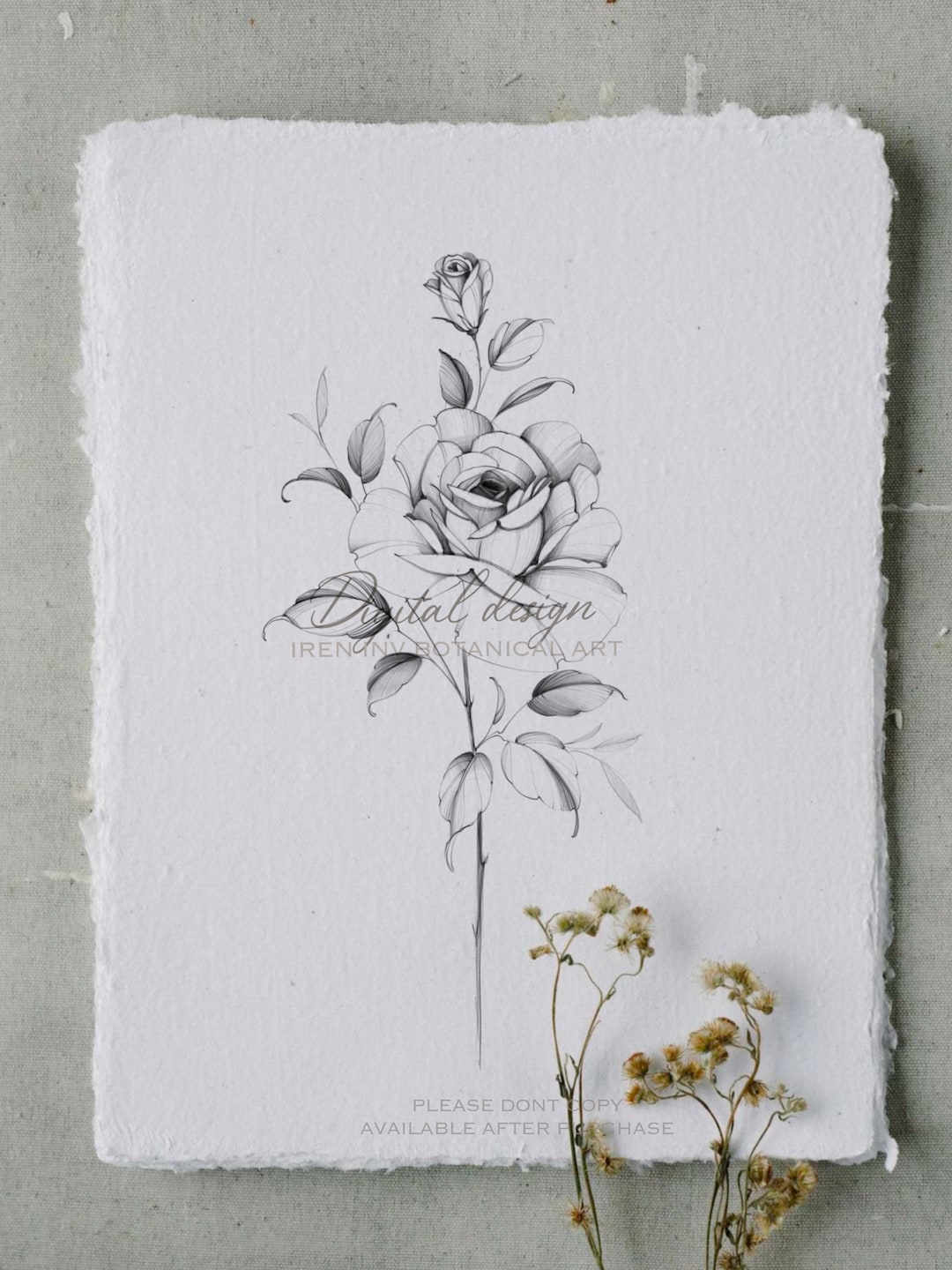 June Birth Flower Tattoo Design | Rose Outline (digital Download) - Etsy