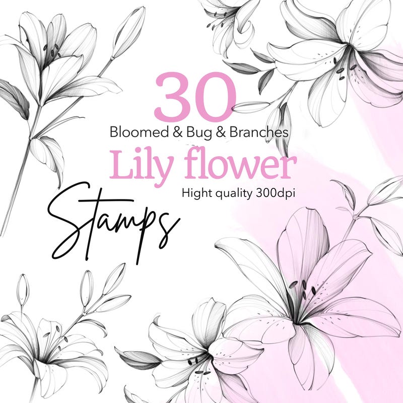 Lily Tattoo Fine Line - Etsy
