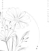 Daisy Flower | Tattoo Design | Printable Stencil | Instant Download ...