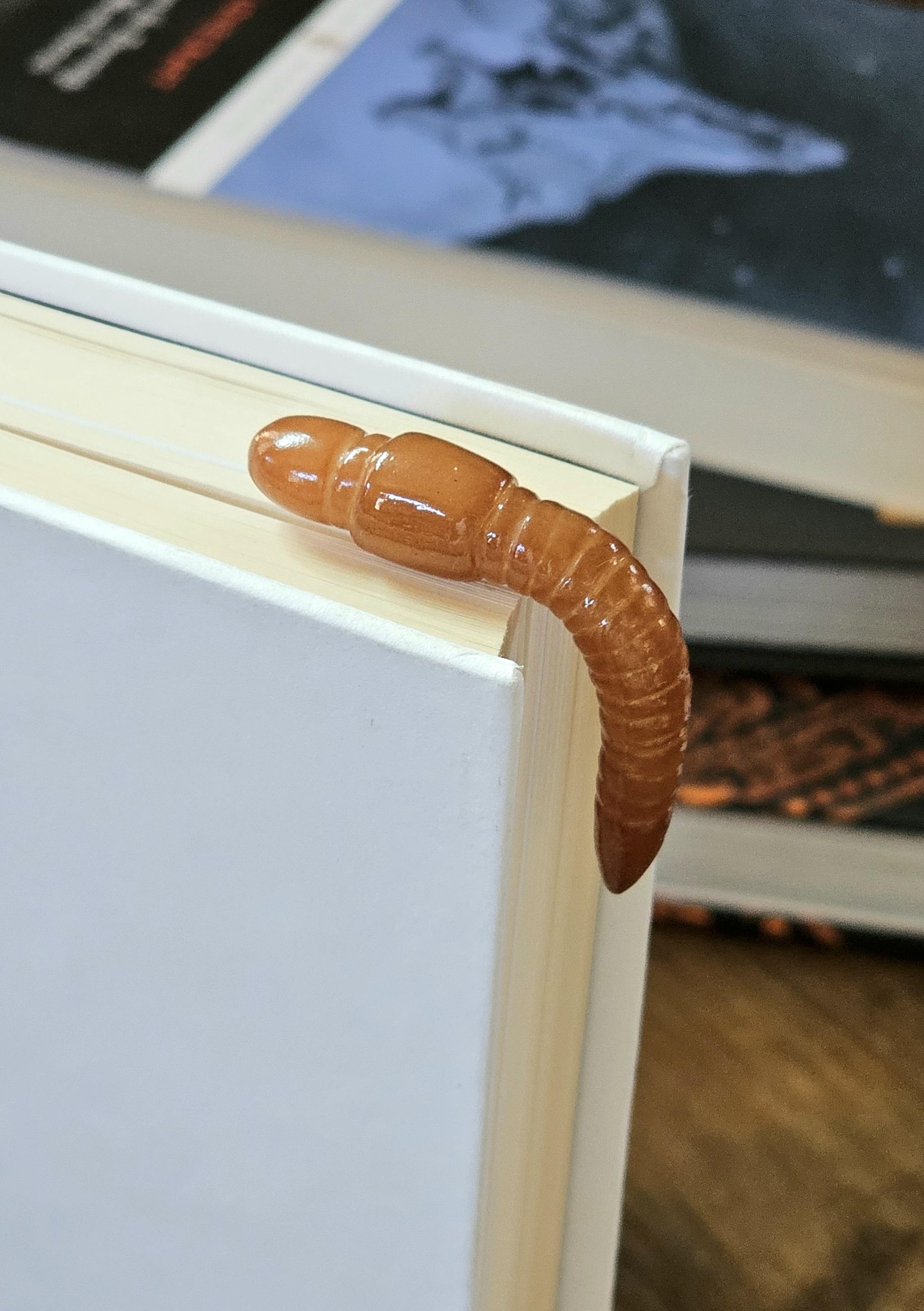 Polymer Clay Earthworm Bookmark - Punny Book Lover Gift - Etsy